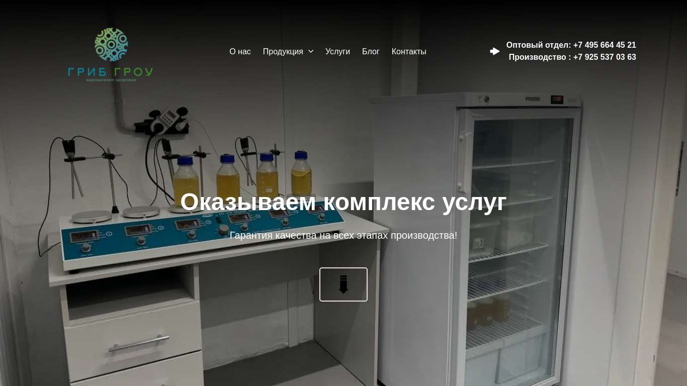 Услуги компании Grib Grow